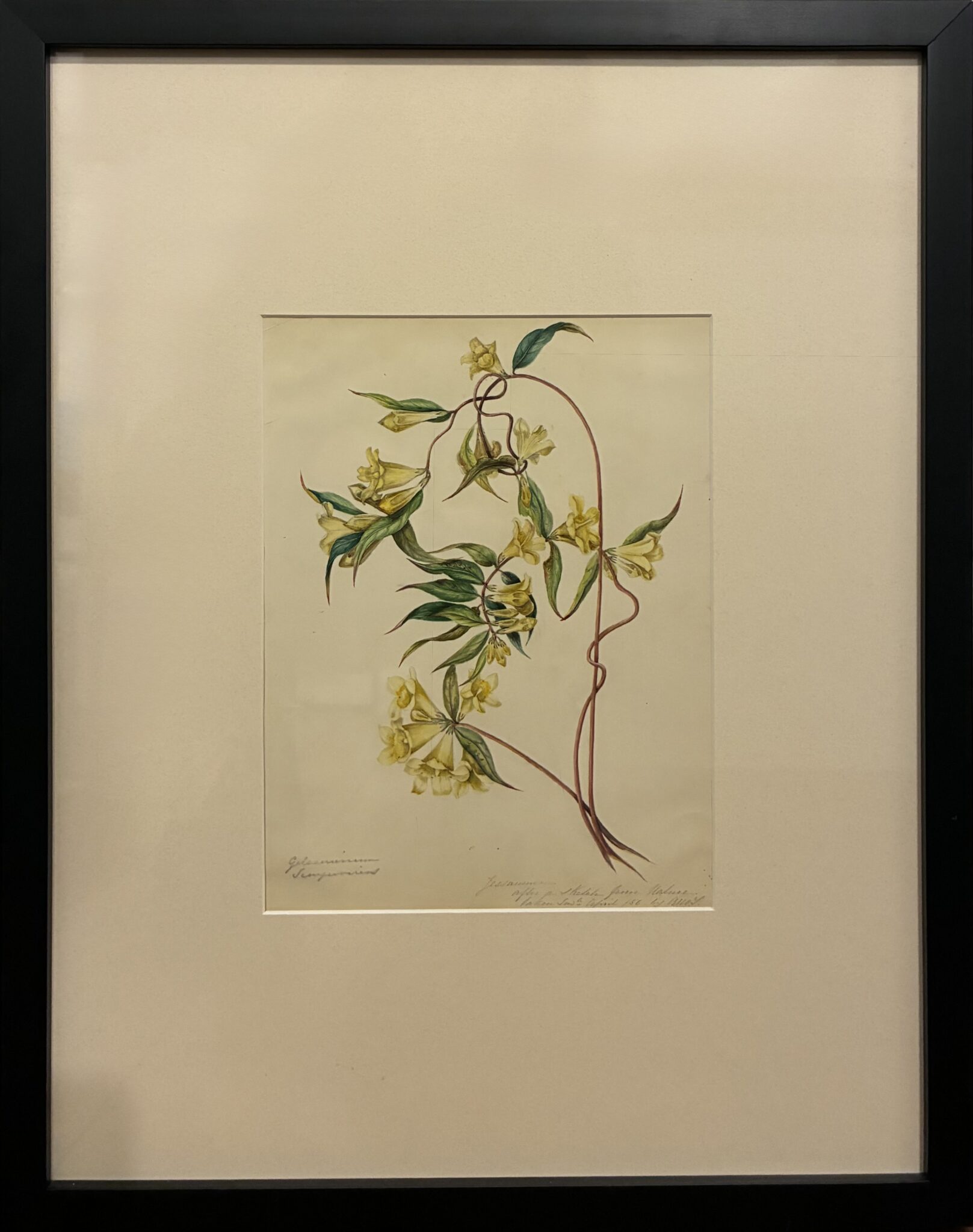Women Artists of Woods Hole: Selections from the Permanent Collection ...